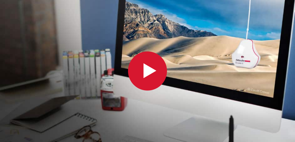 Spyder X Pro Screen Color Calibration Tool | Datacolor